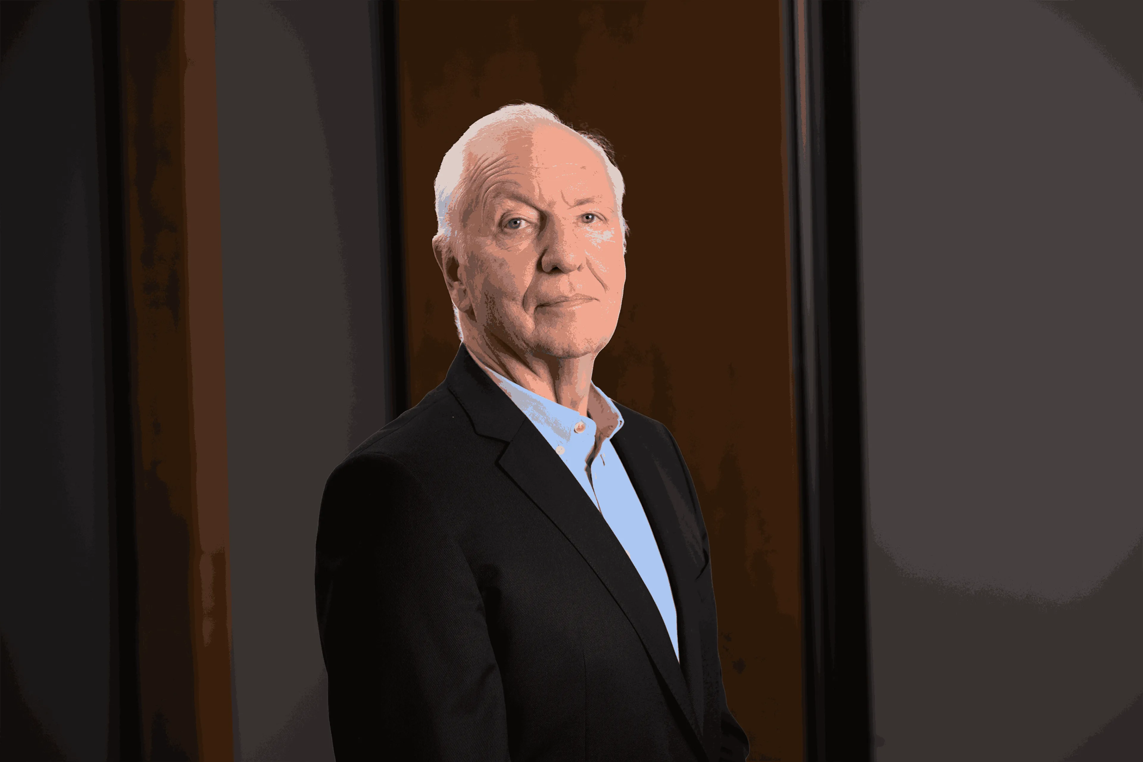 The Management || Allwyn